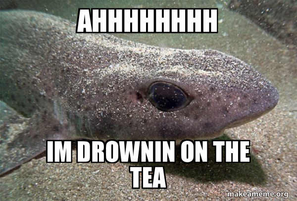 ahhhhhhhh im drownin on the tea - Dirty Joke Dogfish Meme Generator