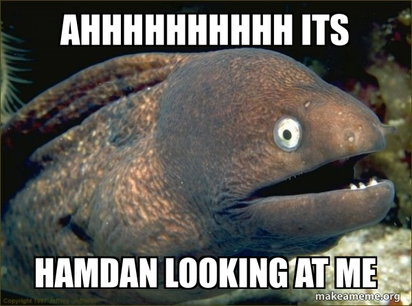 ahhhhhhhhhh its hamdan looking at me - Bad Joke Eel Meme Generator