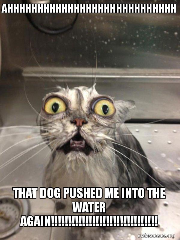 AHHHHHHHHHHHHHHHHHHHHHHHHHHHH that dog pushed me into the water again