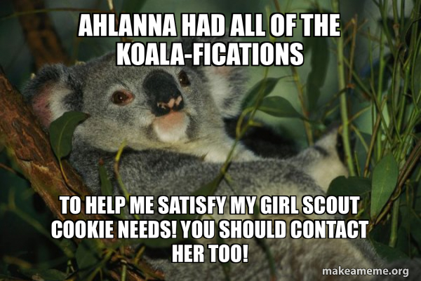 Ahlanna had all of the koala-fications to help me satisfy my girl scout ...