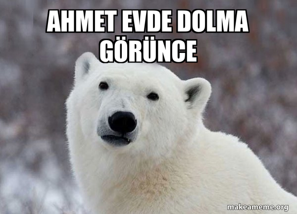 ahmet evde dolma görünce - Popular Opinion Polar Bear Meme Generator