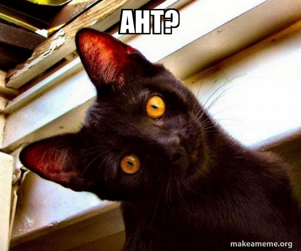 AHT? - Overly Attached Cat Meme Generator