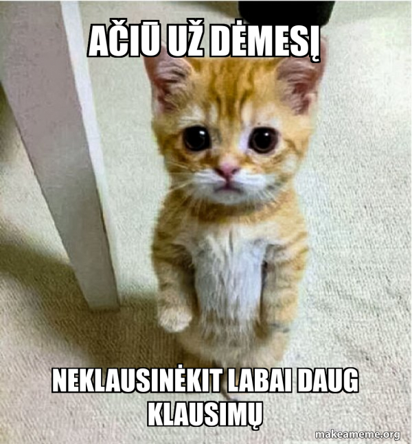 Ačiū už dėmesį Neklausinėkit labai daug klausimų - Cute Cat Standing ...