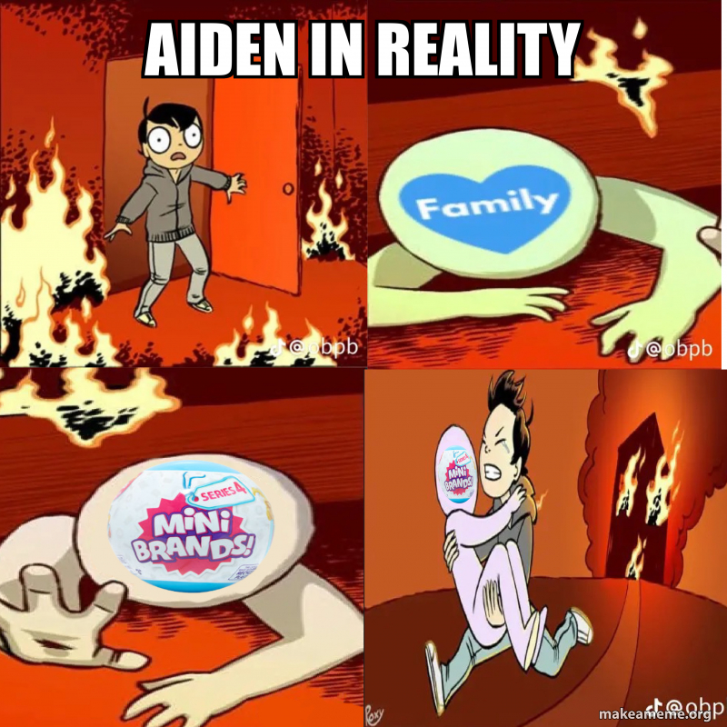 Aiden in reality Meme Generator