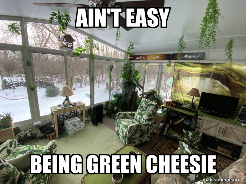 Ain't easy Being green cheesie Meme Generator