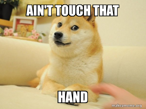 ain't touch that hand - Doge Meme Generator