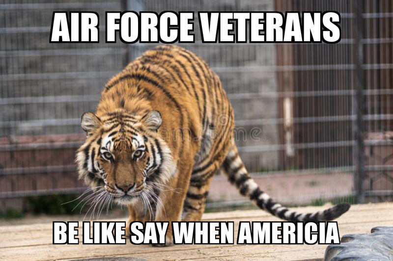 Air Force Veterans Be like say when Americia Meme Generator