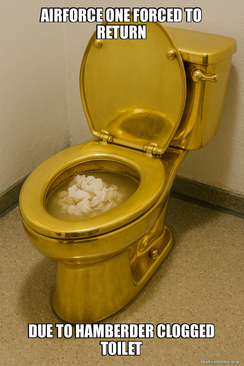 AirForce one forced to return Due to hamberder clogged toilet Meme ...