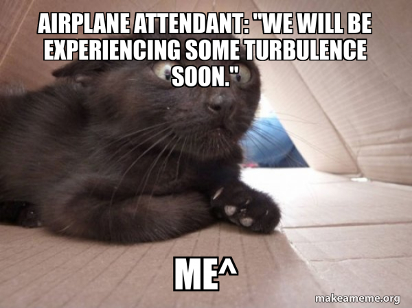 Airplane attendant: "We will be experiencing some turbulence soon." me ...