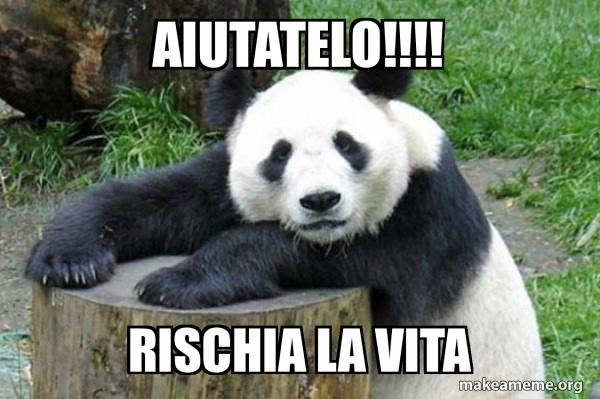Aiutatelo!!!! Rischia la vita - Confession Panda Meme Generator