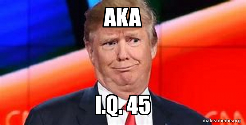 aka i.q. 45 Meme Generator