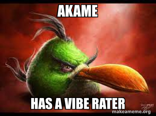 akame has a vibe rater Meme Generator
