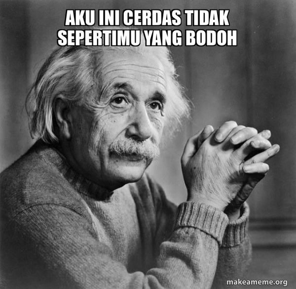Aku ini cerdas tidak sepertimu yang bodoh - Serious Albert Einstein ...
