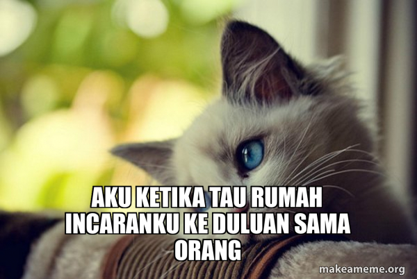 AKU KETIKA TAU RUMAH INCARANKU KE DULUAN SAMA ORANG - First World Cat Problems Meme Generator
