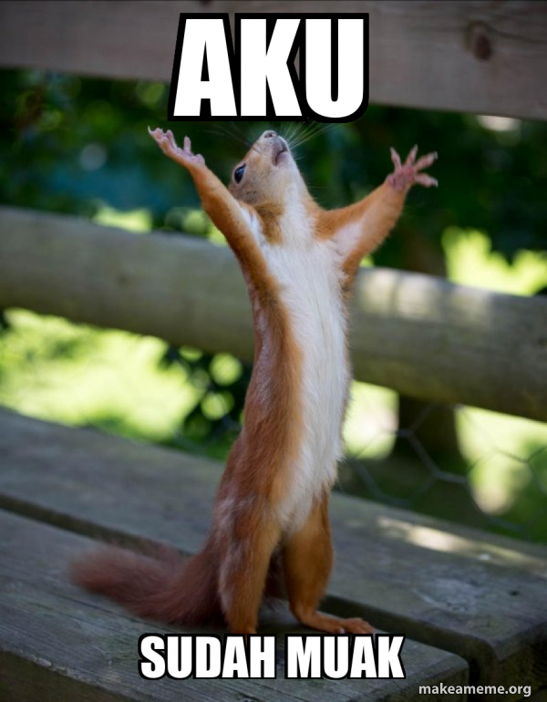 Aku Sudah muak - Happy Squirrel Meme Generator