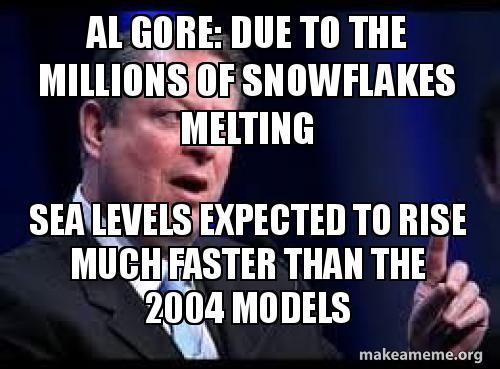 Al Gore: due to the millions of snowflakes melting Sea levels expected ...