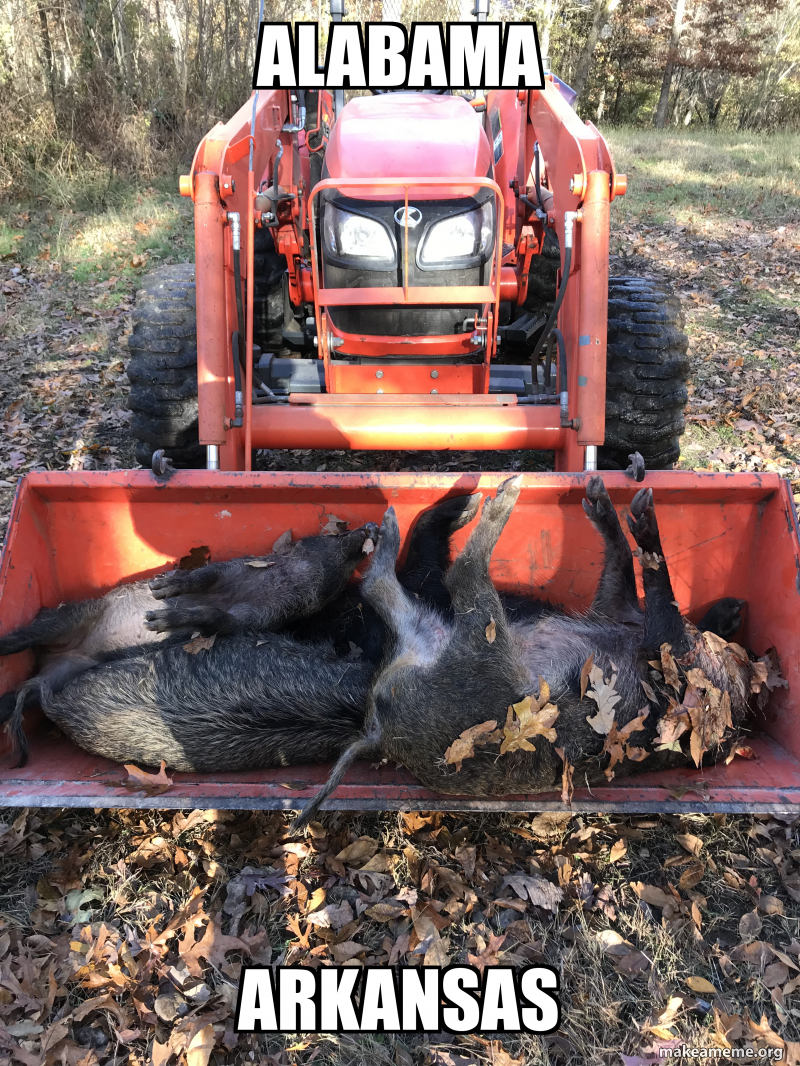 Alabama Arkansas Meme Generator