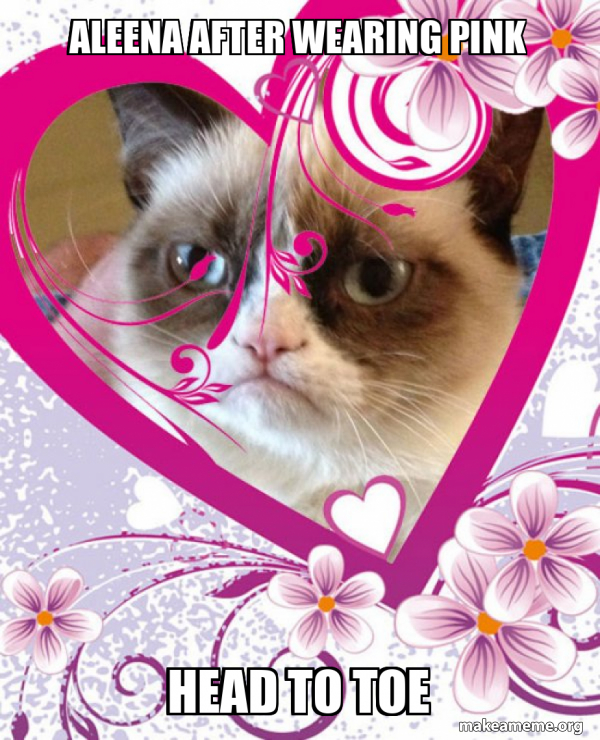 Aleena after wearing pink head to toe - Grumpy cat Valentines Day Meme ...