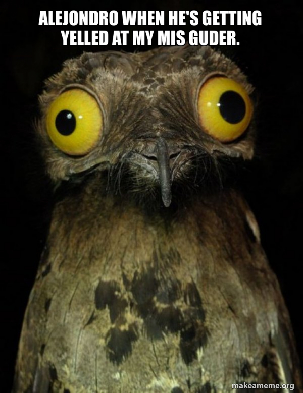alejondro when he's getting yelled at my mis guder. - Weird Stuff I do ...
