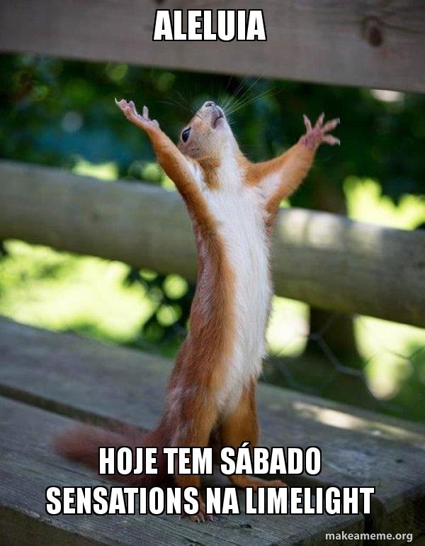 ALELUIA HOJE TEM SÃ BADO SENSATIONS NA LIMELIGHT - Happy Squirrel Meme ...