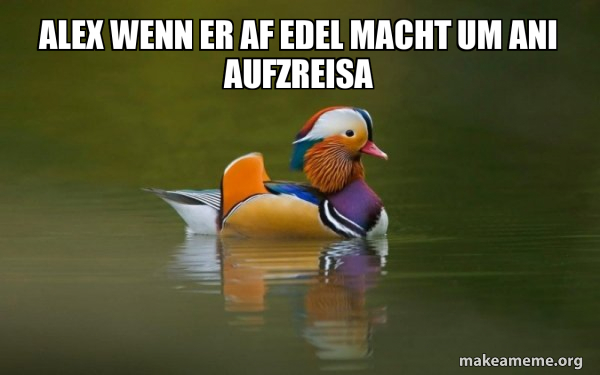 Alex wenn er af Edel macht um ani aufzreisa - Fashionable Advice ...