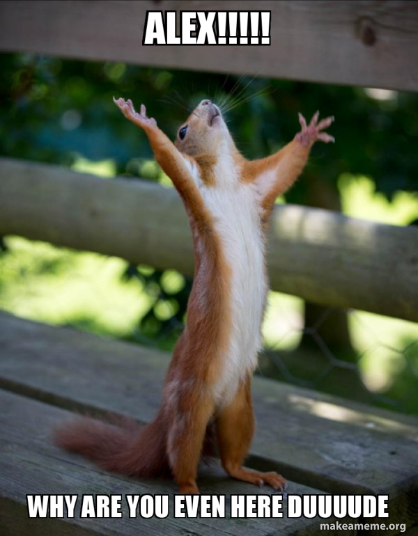 Alex!!!!! Why are you even here duuuude - Happy Squirrel Meme Generator