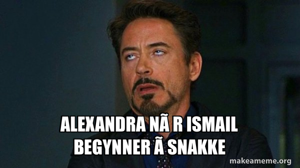 Alexandra når Ismail begynner å snakke - Tony Stark Eye Roll Meme Generator
