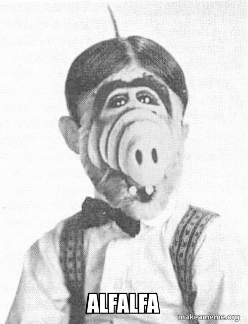 ALFALFA Meme Generator