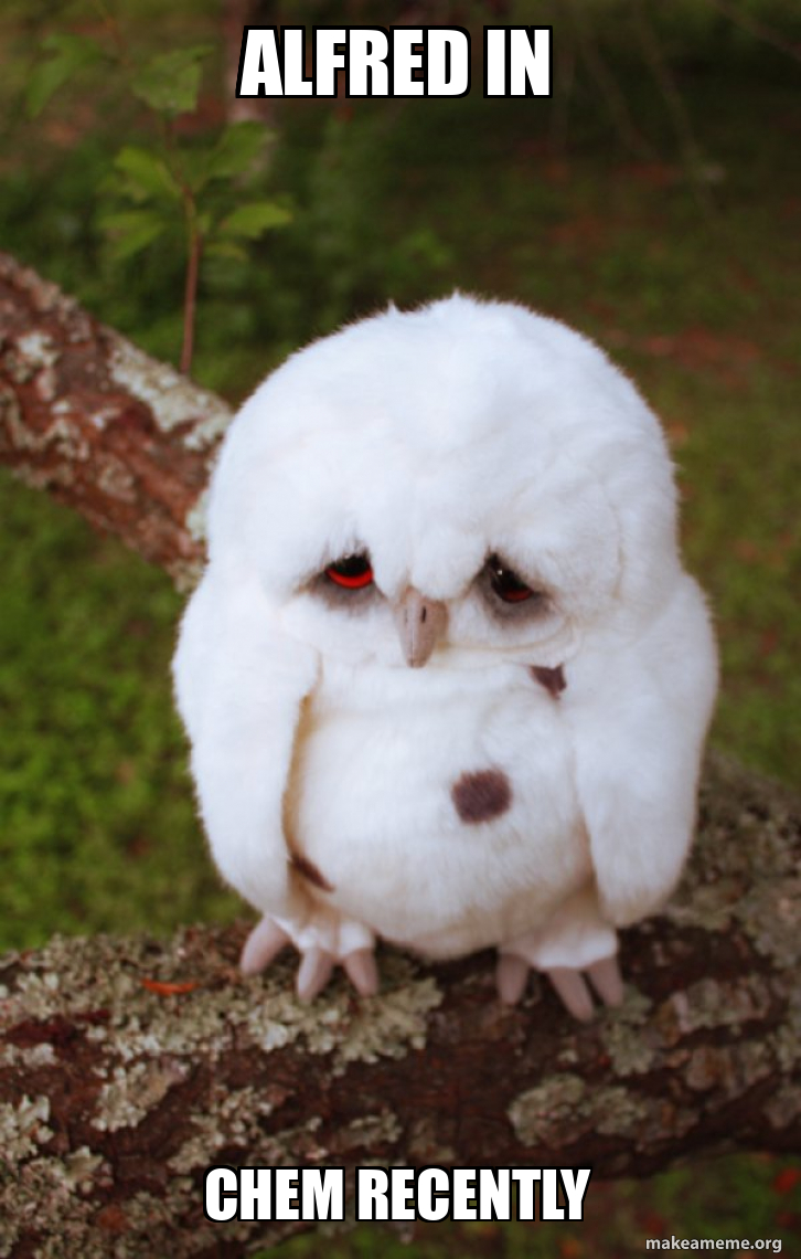 alfred in chem recently - Sad Owl Meme Generator