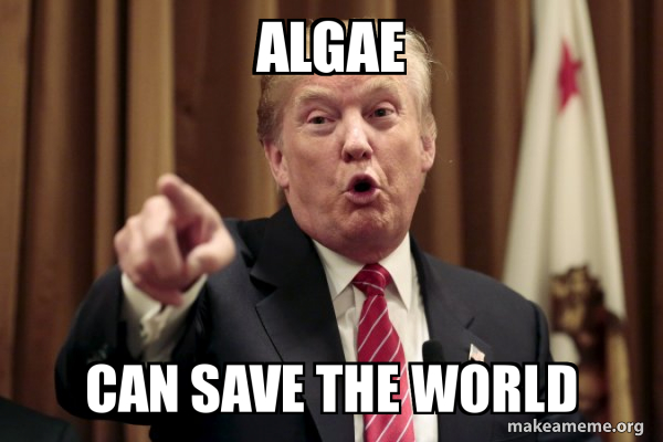 Algae Can save the world - Donald Trump Says Meme Generator