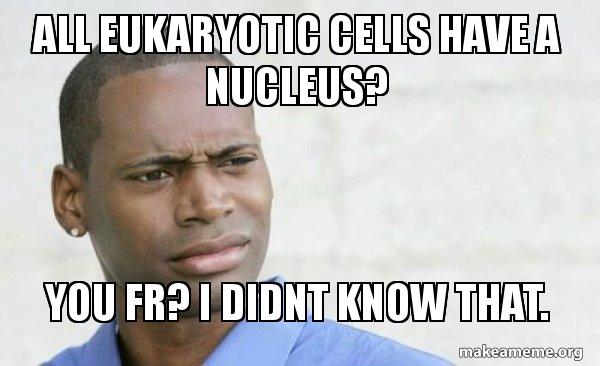 All Eukaryotic Cells Have A Nucleus? You Fr? I didnt know that ...
