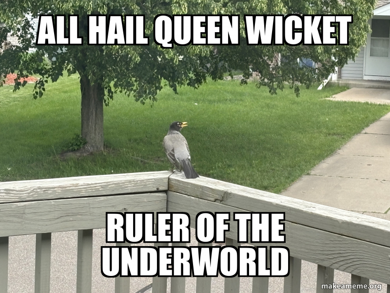 All hail queen wicket Ruler of the underworld Meme Generator