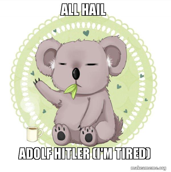 All HAIL Adolf Hitler (I'm tired) - Aussie Koala doing the night shift ...