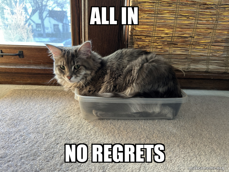 ALL IN No Regrets Meme Generator