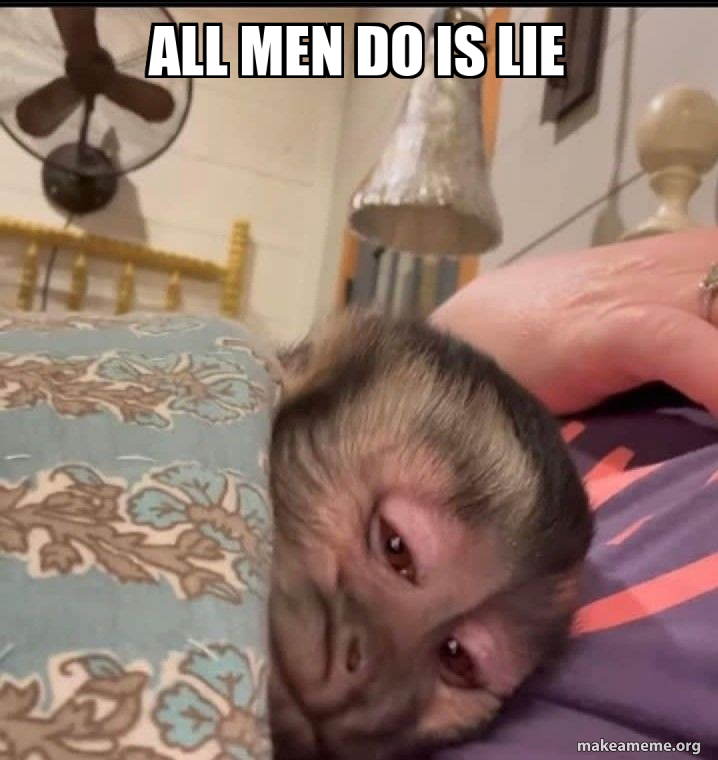 ALL MEN DO IS LIE Meme Generator