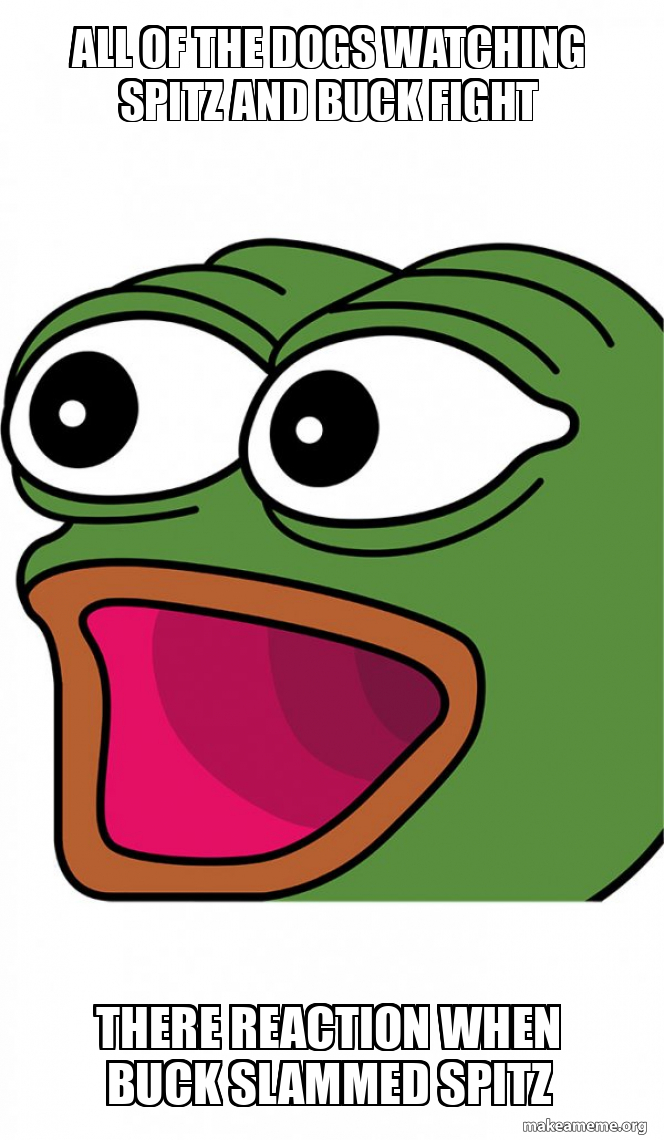 all of the dogs watching spitz and buck fight There reaction when buck ...