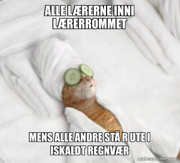 Alle lærerne inni lærerrommet Mens alle andre står ute i iskaldt ...