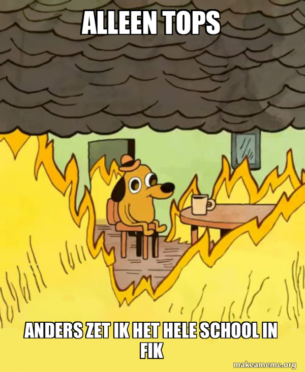 Alleen tops Anders zet ik het hele school in fik - This Is Fine Meme ...