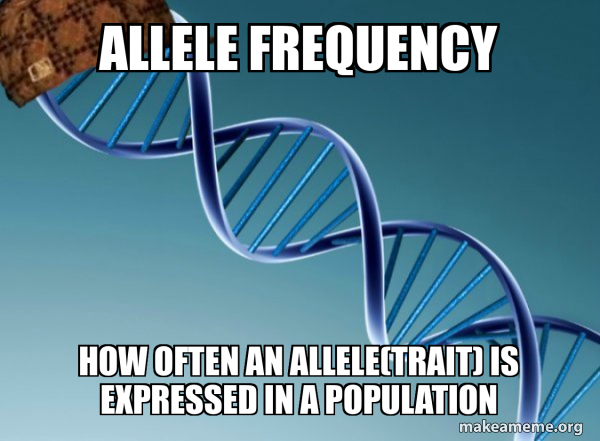 Allele Frequency How often an allele(trait) is expressed in a ...