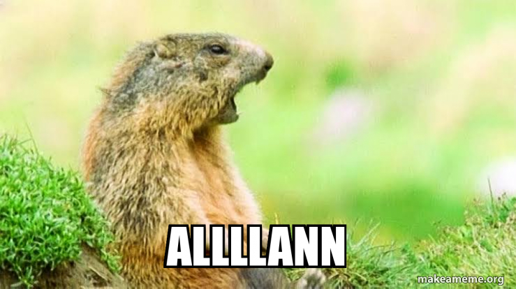 Allllann Meme Generator