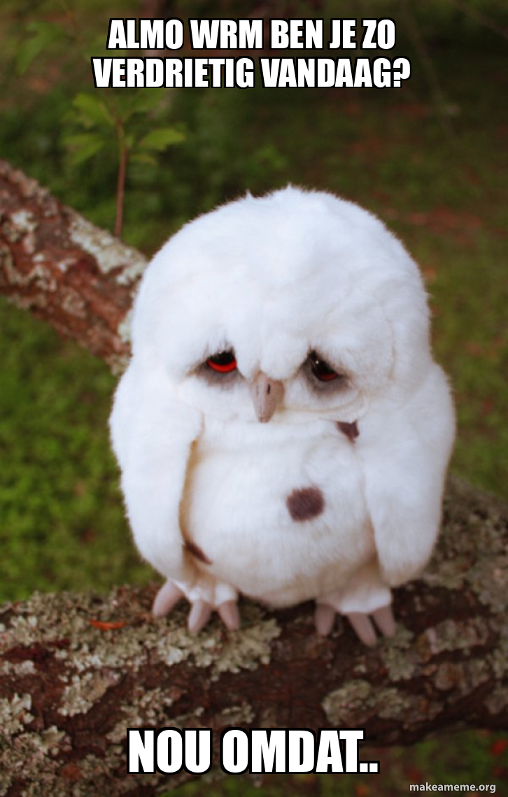Almo wrm ben je zo verdrietig vandaag? Nou omdat.. - Sad Owl Meme Generator