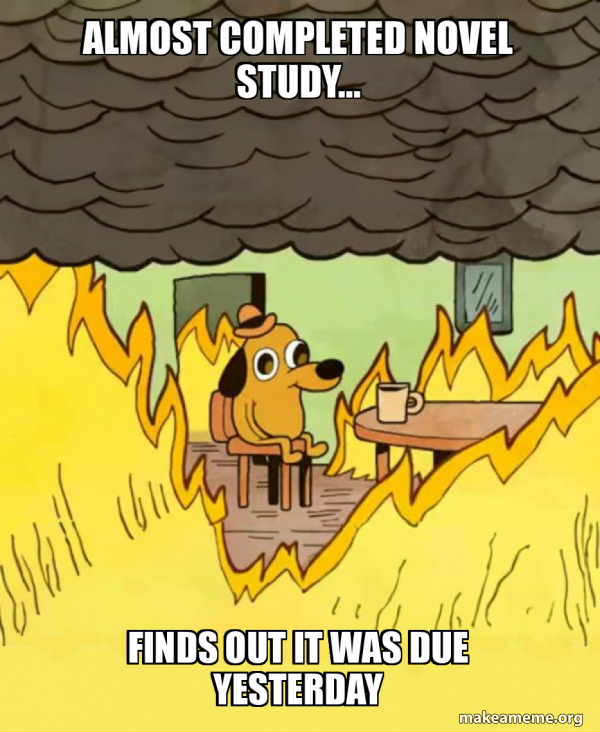 Almost completed novel study... finds out it was due yesterday - This ...