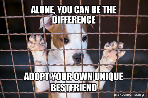 Alone, you can be the difference Adopt your own unique bestfriend Meme ...