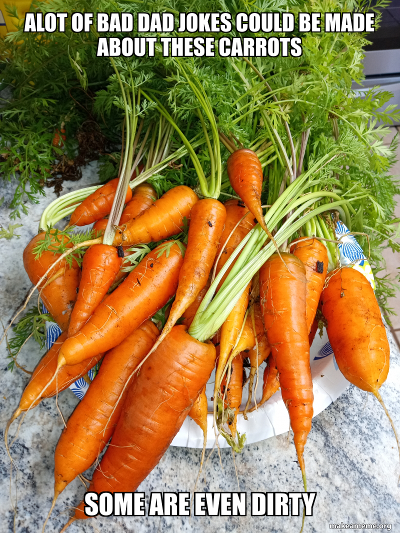 Alot of bad dad jokes could be made about these carrots Some are even ...