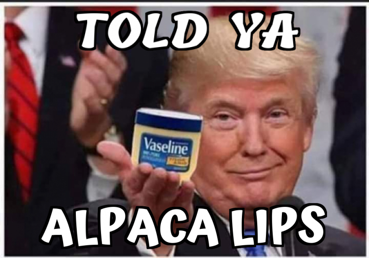 Alpaca lips Meme Generator