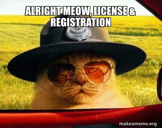 Alright meow, License & registration Meme Generator