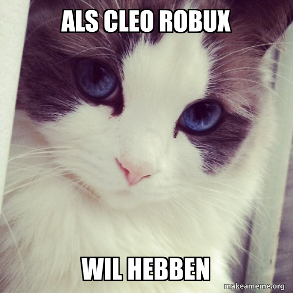 Als Cleo robux wil hebben - Ridiculously Photogenic Cat Meme Generator