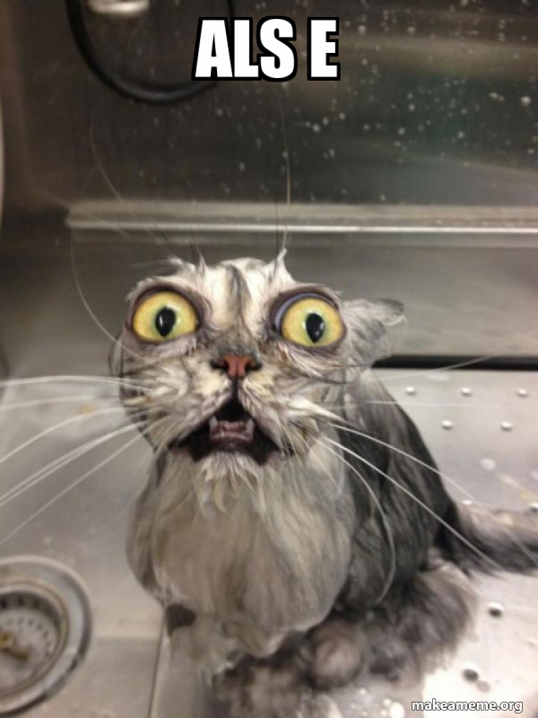 als e - Cat bath Meme Generator