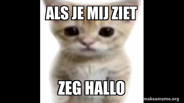 als je mij ziet zeg hallo Meme Generator