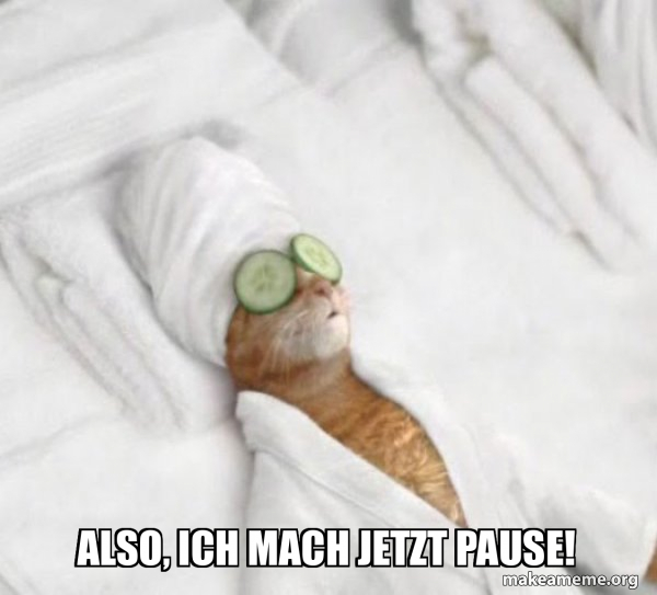 Also, ich mach jetzt Pause! - Pampered Cat Meme Meme Generator